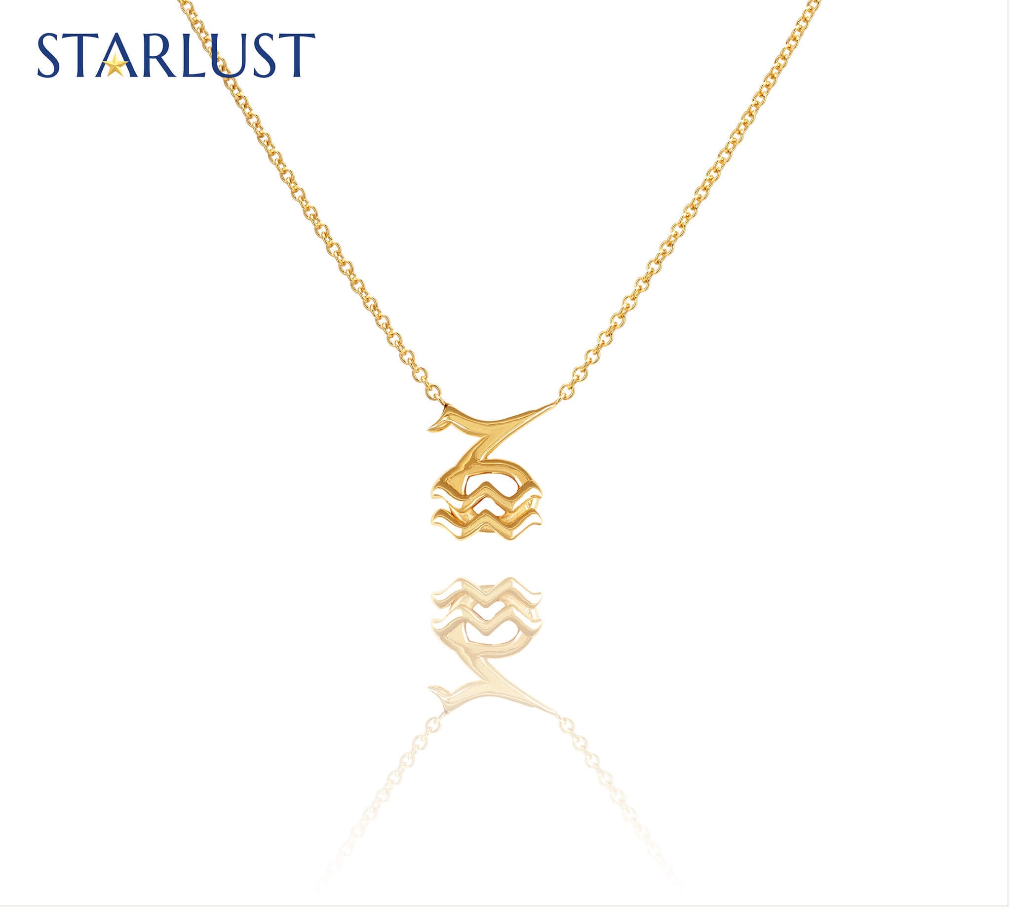 Aquarius and Capricorn Combo Pendant in Silver Gold or Platinum – Starlust