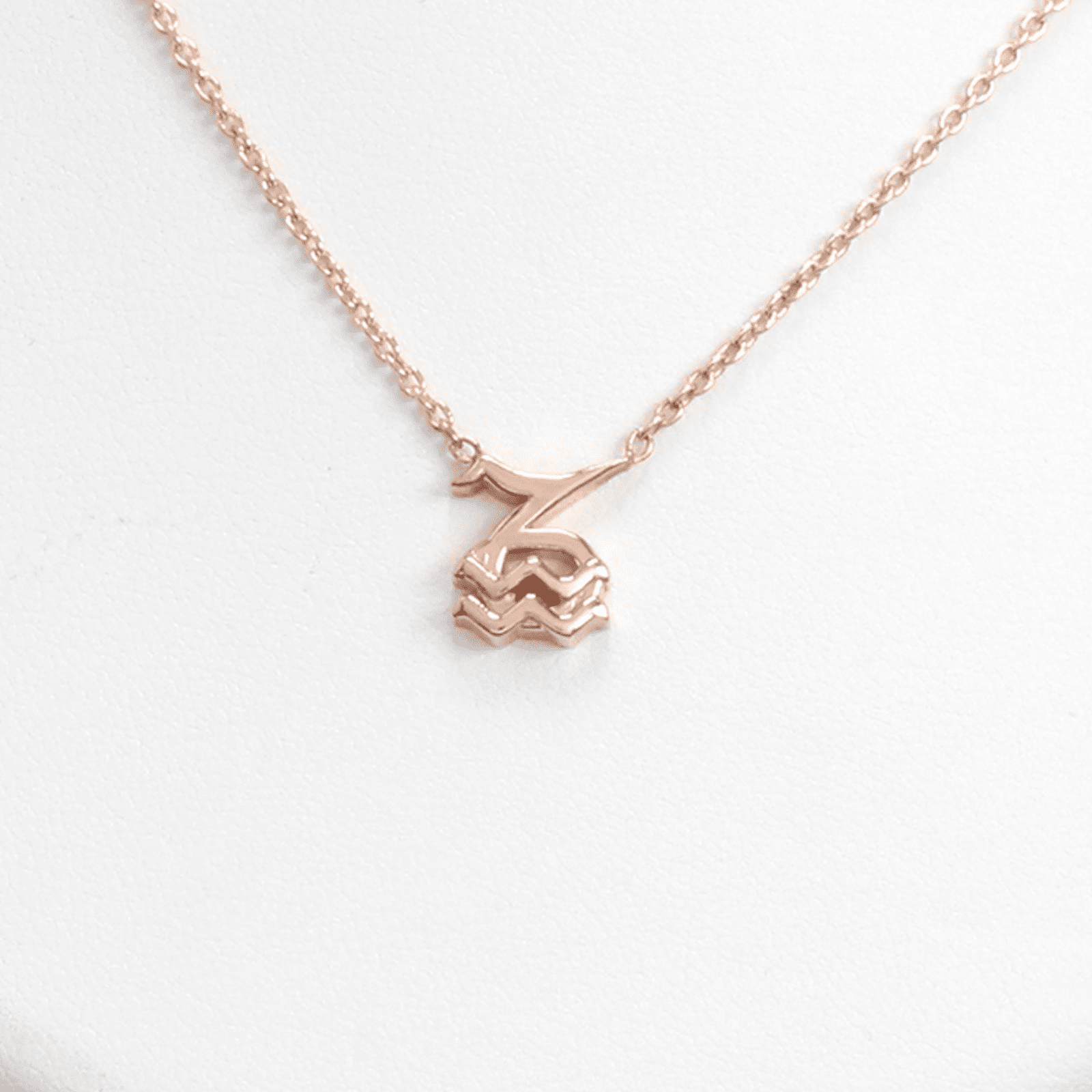 Aquarius and Capricorn Combo Pendant in Silver Gold or Platinum – Starlust