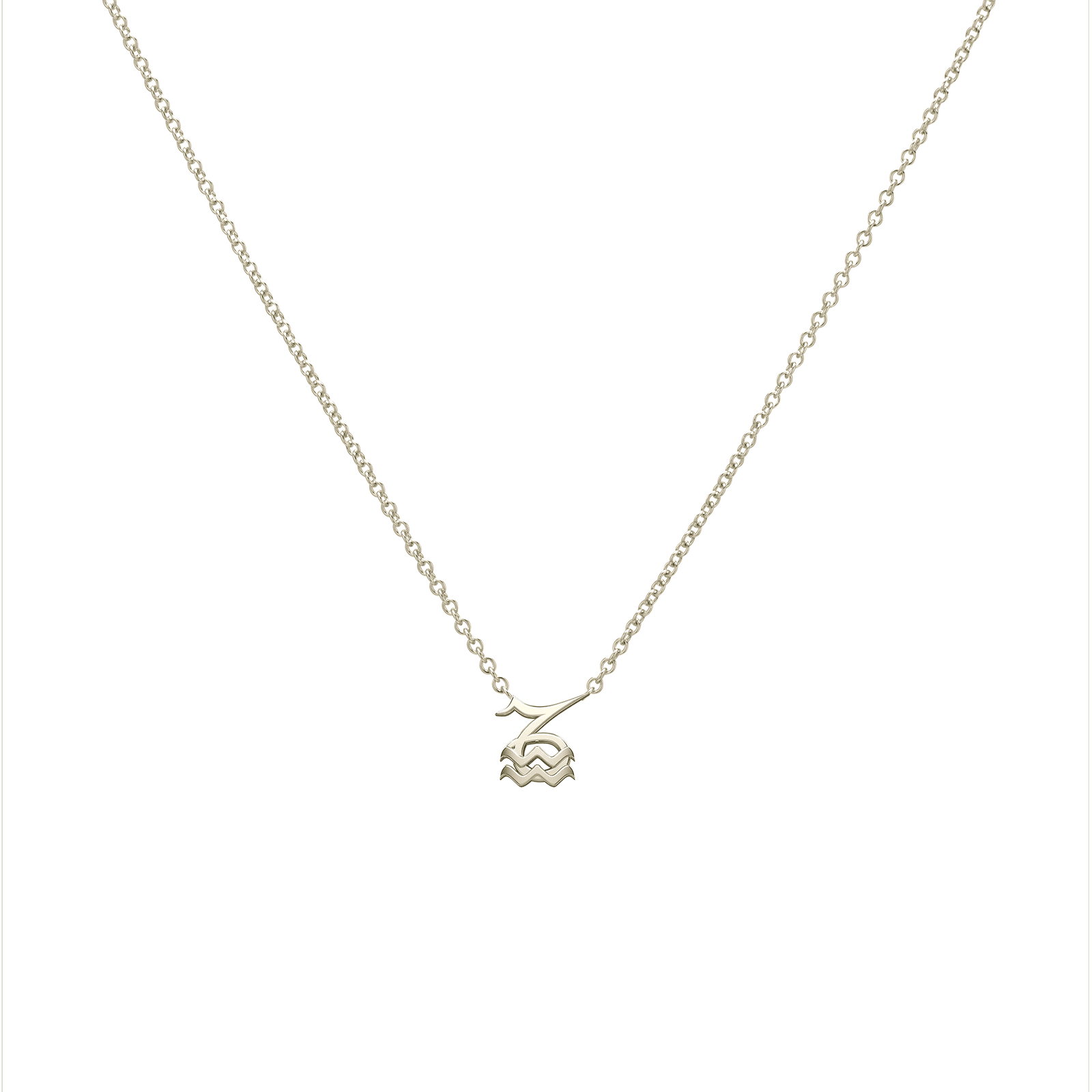 Aquarius and Capricorn Combo Pendant in Silver Gold or Platinum – Starlust