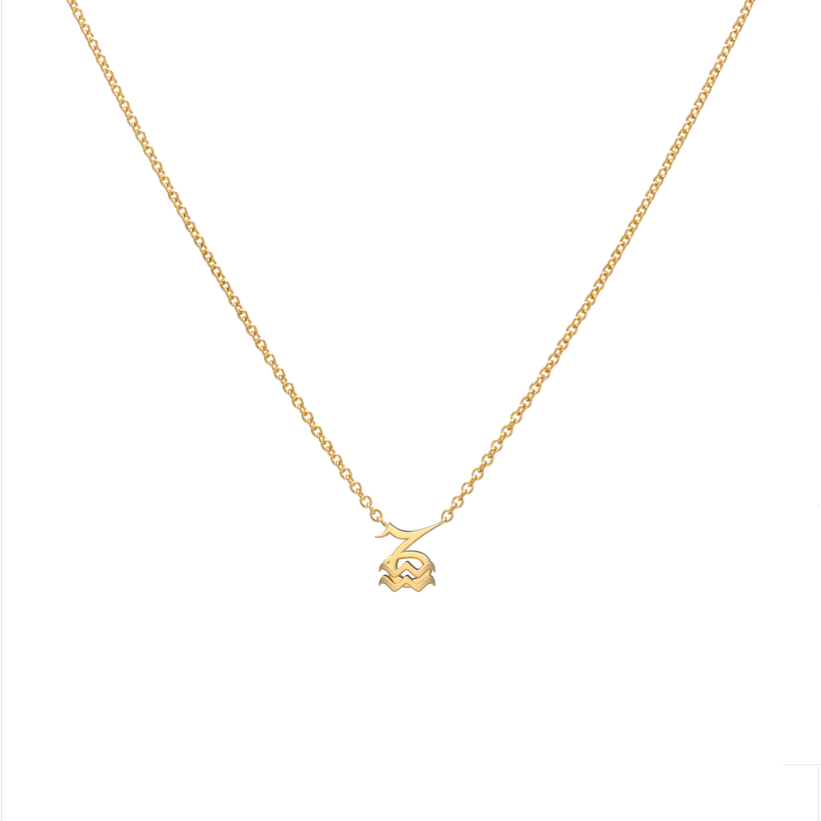 Aquarius and Capricorn Combo Pendant in Silver Gold or Platinum – Starlust