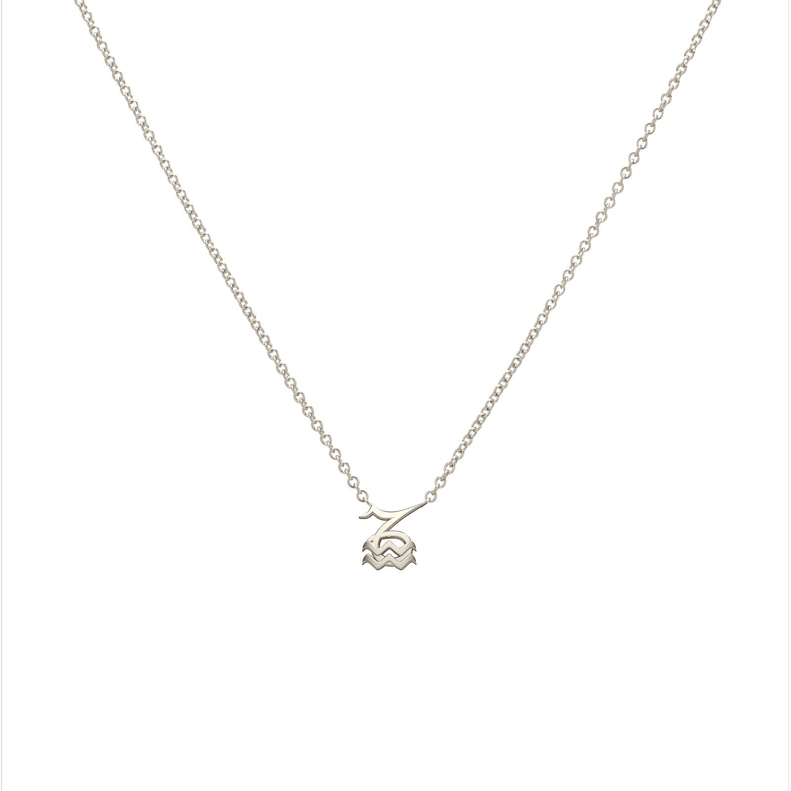 Aquarius and Capricorn Combo Pendant in Silver Gold or Platinum – Starlust